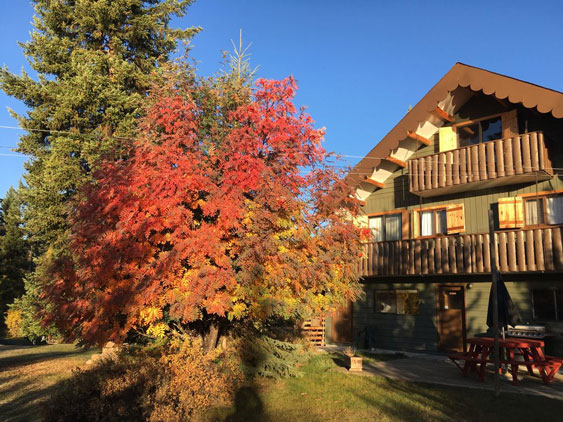 Lodging & Rates - Ruth Lake Lodge Resort