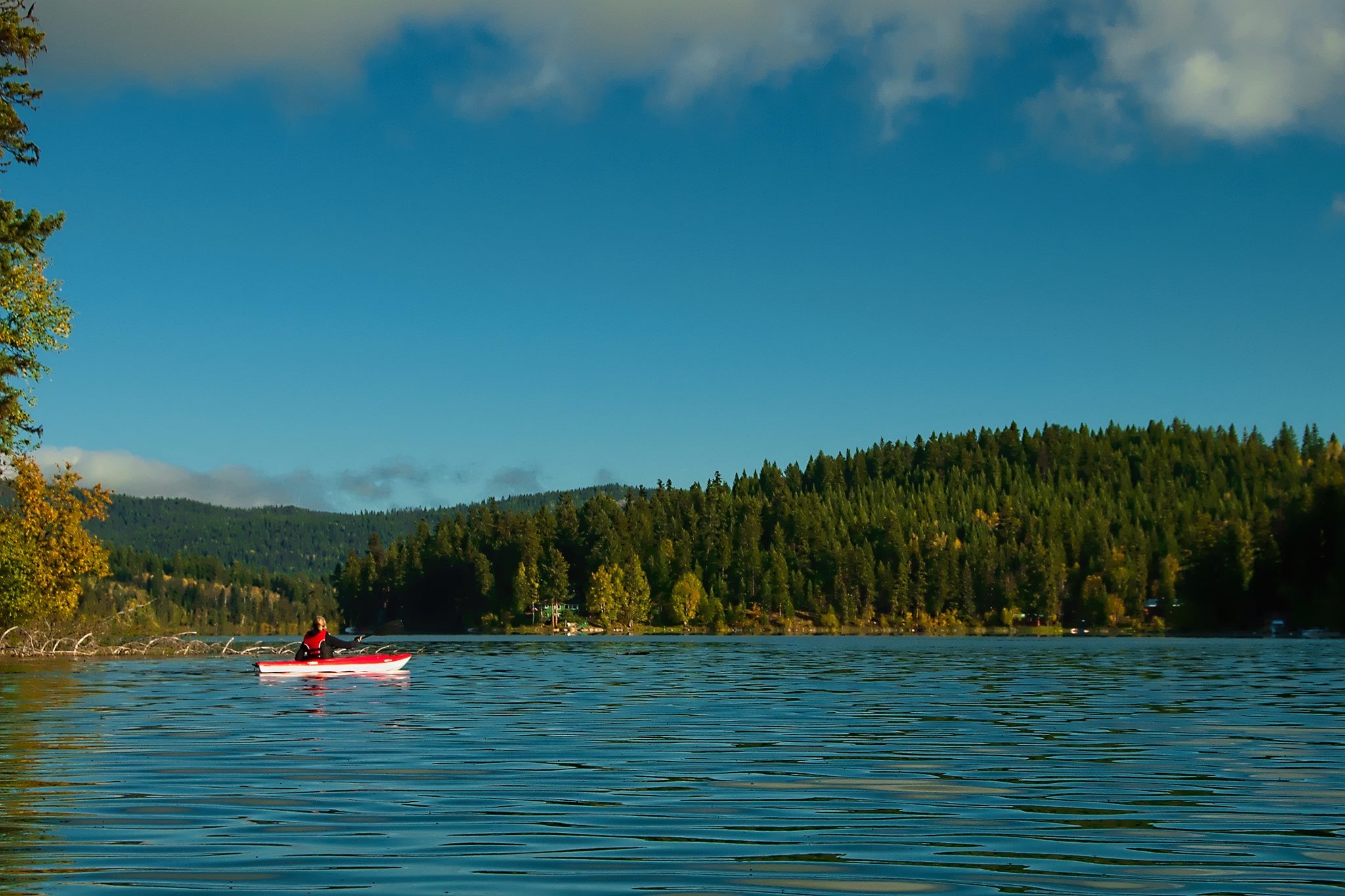 Things to Do - Ruth Lake Lodge Resort